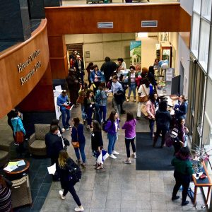 Online MSW - UNC School of Social Work